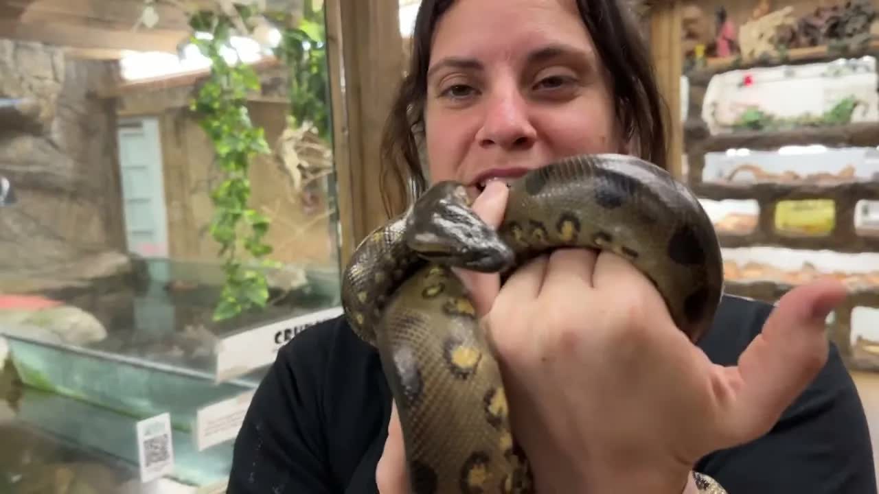 Animal feeding frenzy!