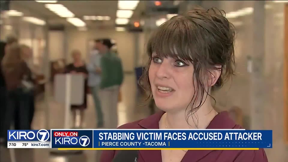 VIDEO: Point Defiance Park stabbing suspect faces accused attacker