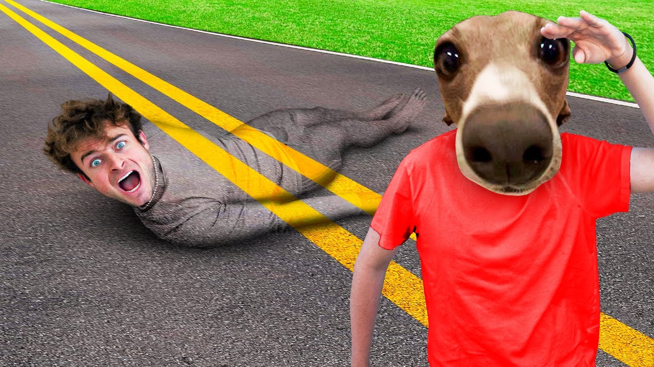 The most intense game of camouflage hide and seek