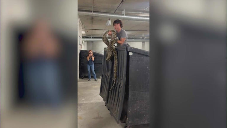 20-foot python found in dumpster in downtown Los Angeles apartment complex