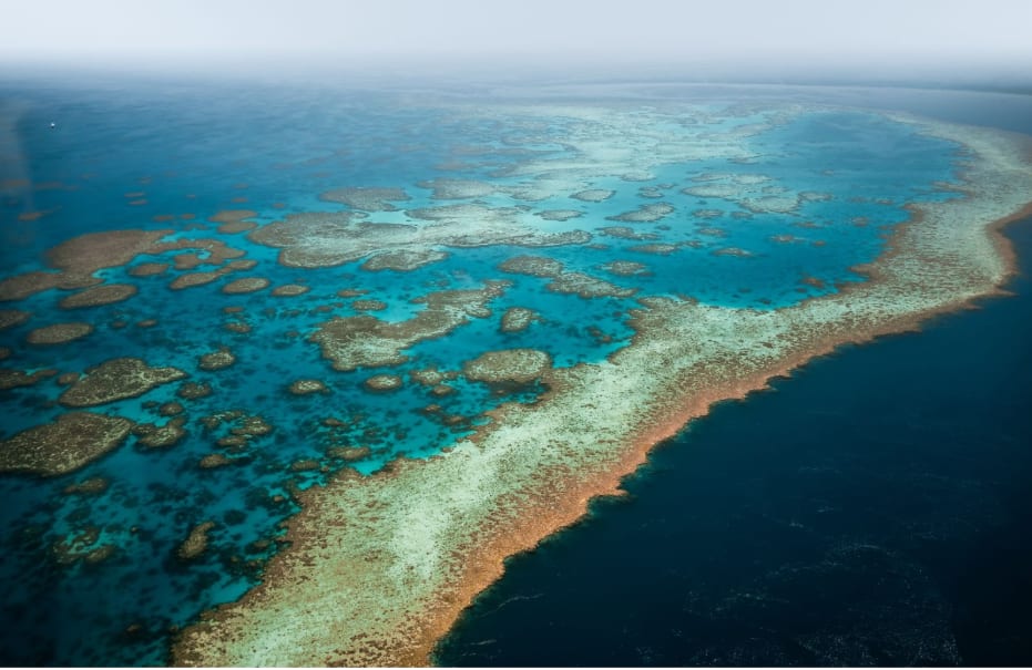 The 2024 Heatwave Scorched All of the Great Barrier Reef in the Worst ...