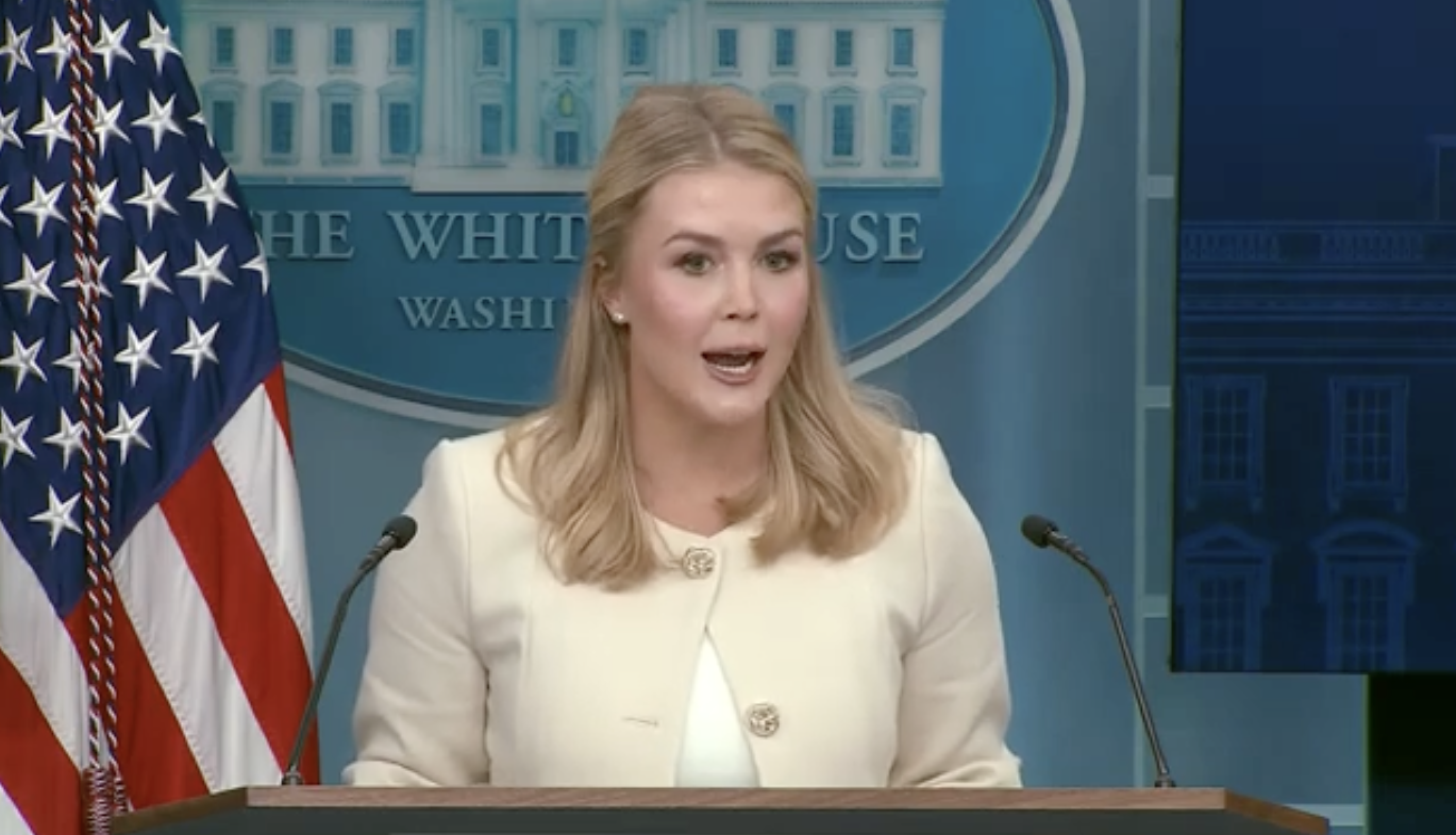 'It's Ridiculous Lawfare': When Karoline Leavitt Panicked, Quivered ...