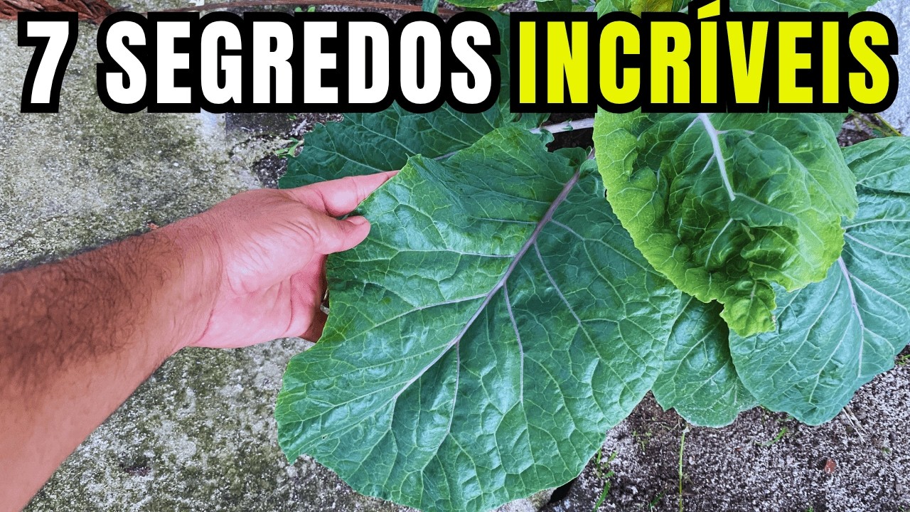 7 Segredos Poderosos Para Cultivar Couve em Casa Com Sucesso