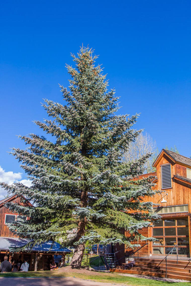 21 Exciting Things To Do In Snowmass, Colorado Year Round!