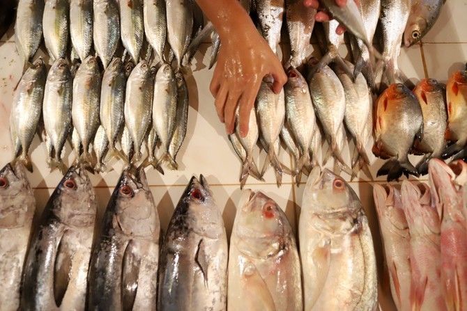 Cemaran Logam Berat di Perairan Bekasi Diduga Berasal Perusahaan Sawit ...
