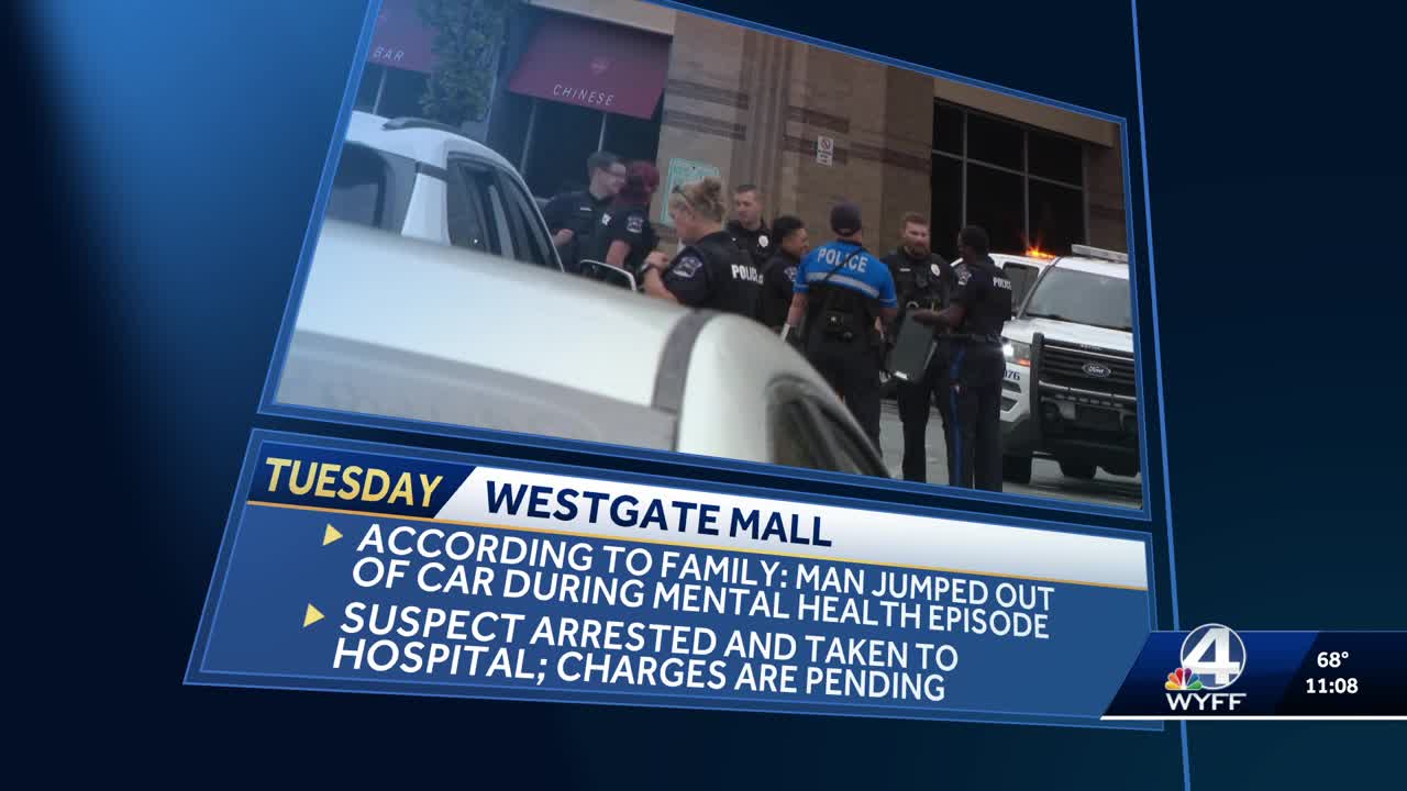 'Mental health episode' leads to violent disturbance at South Carolina mall