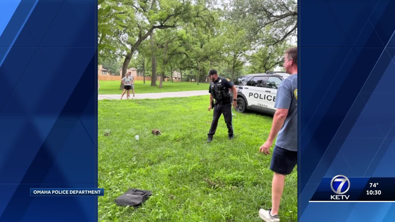 PETA recognizes Omaha police officer who saved raccoon from tree with ...