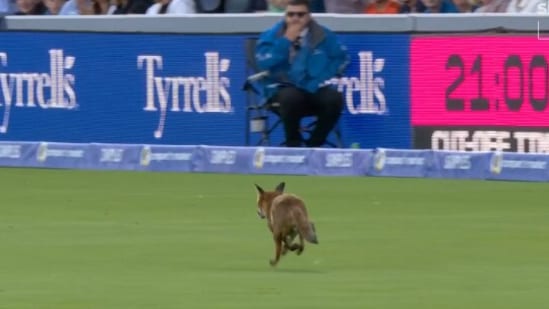 Fox crashes Lord's at The Hundred opener as crowd erupts, play halts as ...