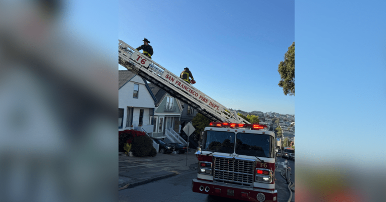 Cat dies, dog rescued from Noe Valley house fire: SFFD