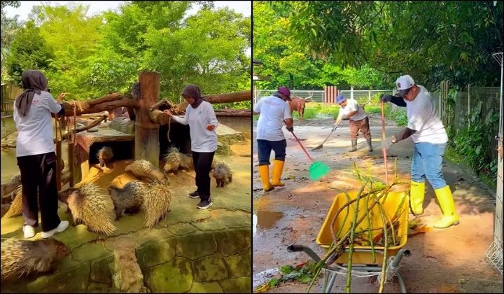 Zoo Negara Announces Its New KeeperKu Programme For Adults