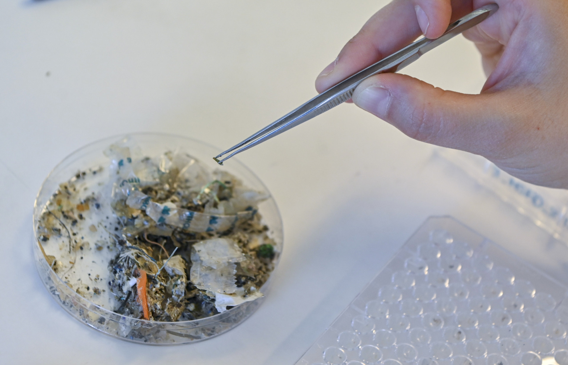 The truth about microplastics