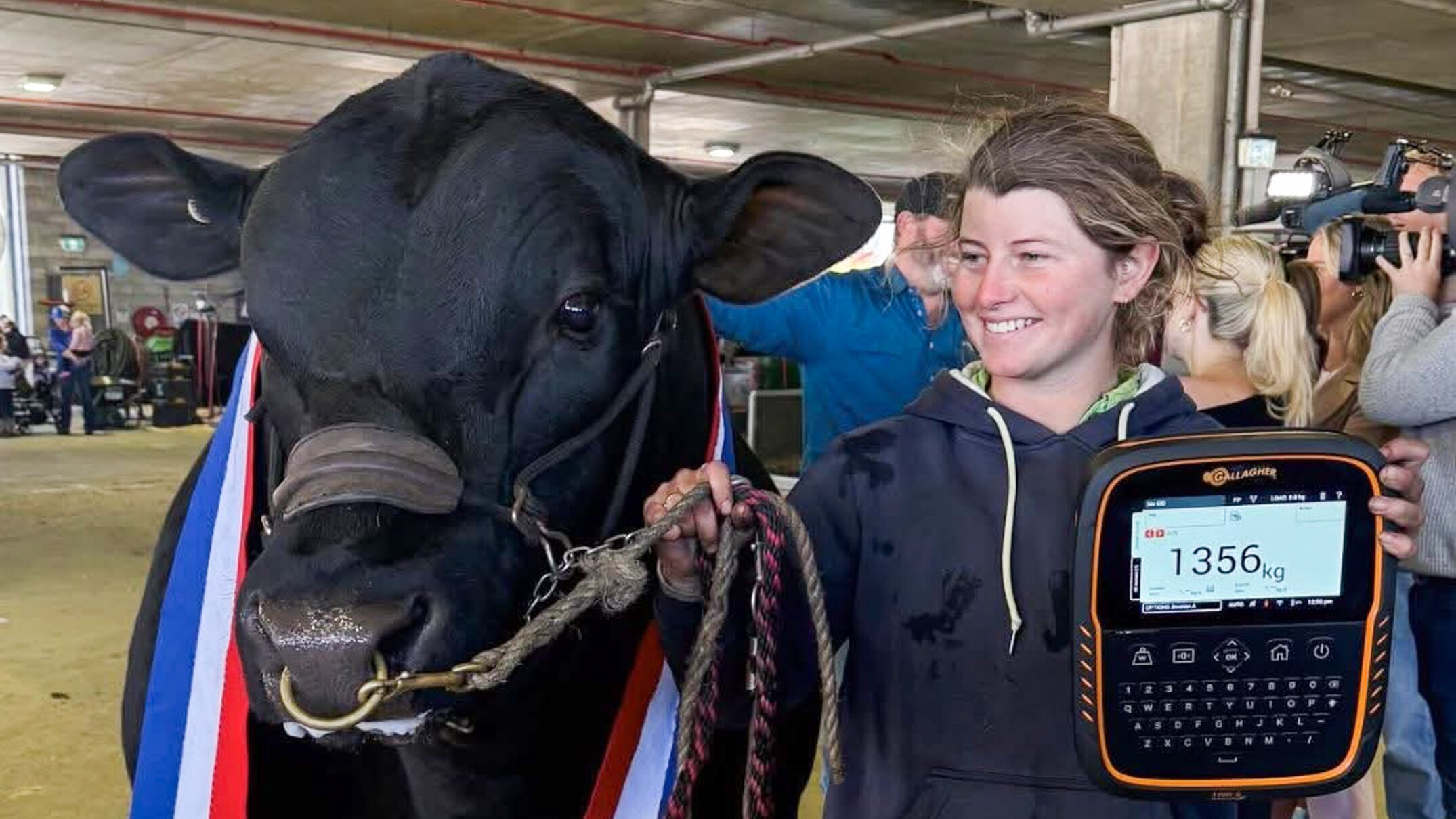 Buster the bull at 1.3 tonnes named heaviest on grounds at Brisbane Ekka