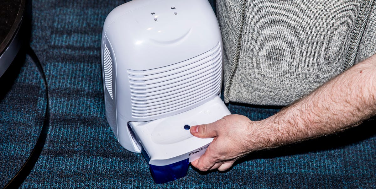 Want Less Muggy Air? Here's How to Choose the Right Size Dehumidifier