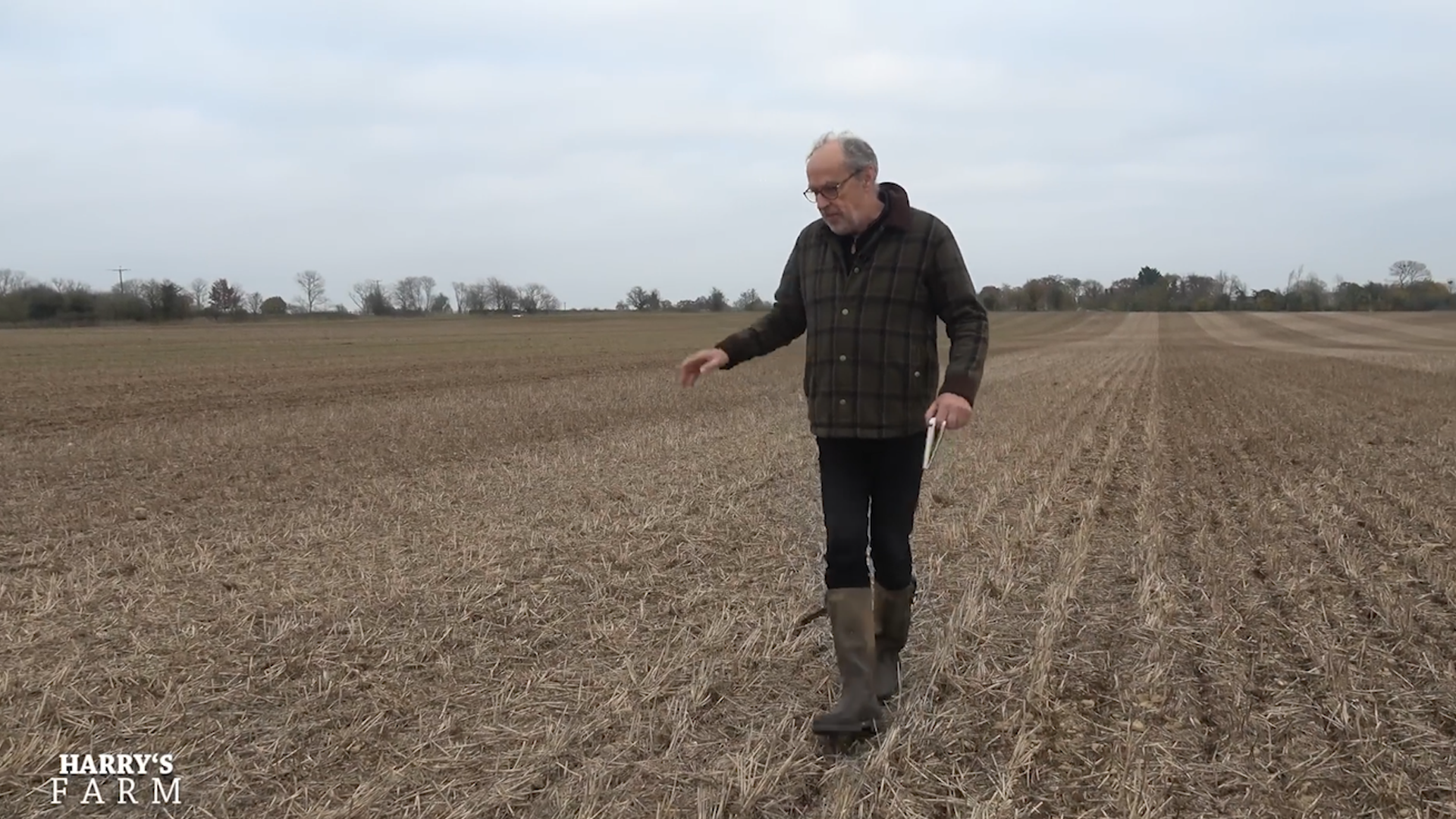 Farmer Income Under Pressure Due to Unstable Conditions and Urban Protests