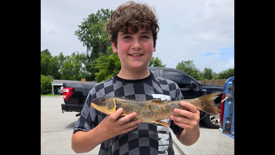 Boy catches record-setting fish in Arkansas. It weighs just 1 pound, 15 ...