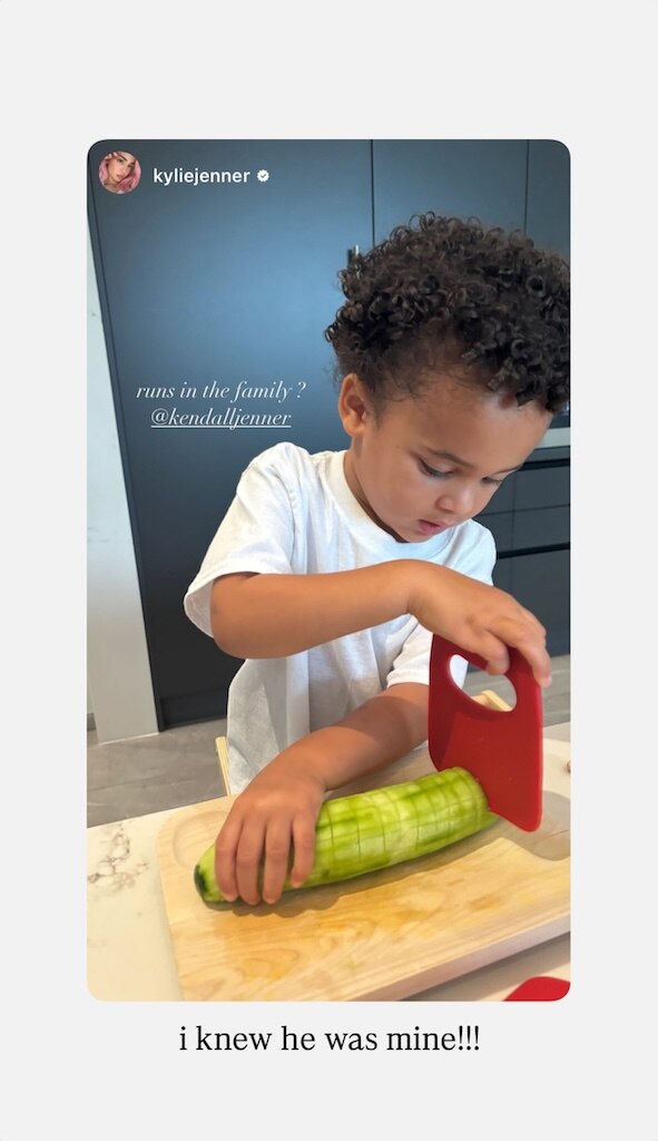 Kendall Jenner Reacts to Aire Webster’s Cucumber Cutting Skills