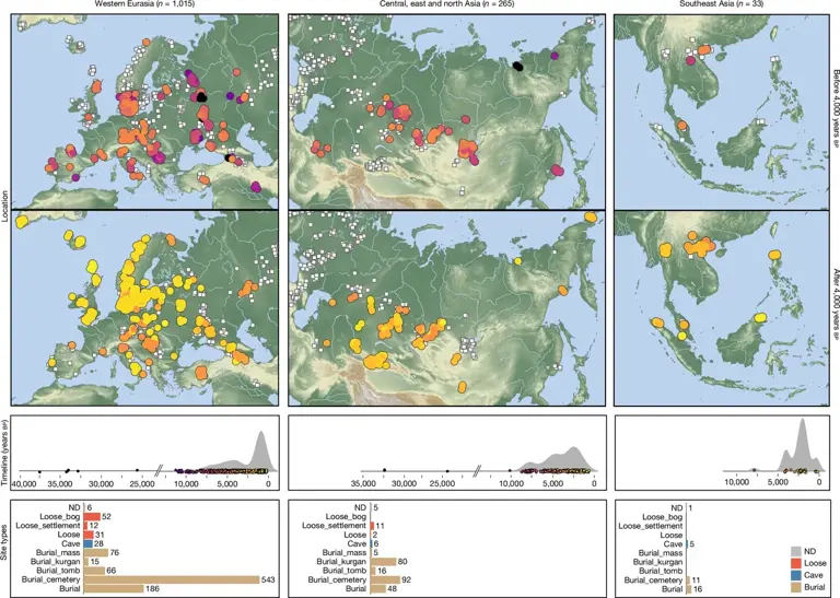 With Ancient DNA, Scientists Have Mapped 37,000 Years of Disease Across ...