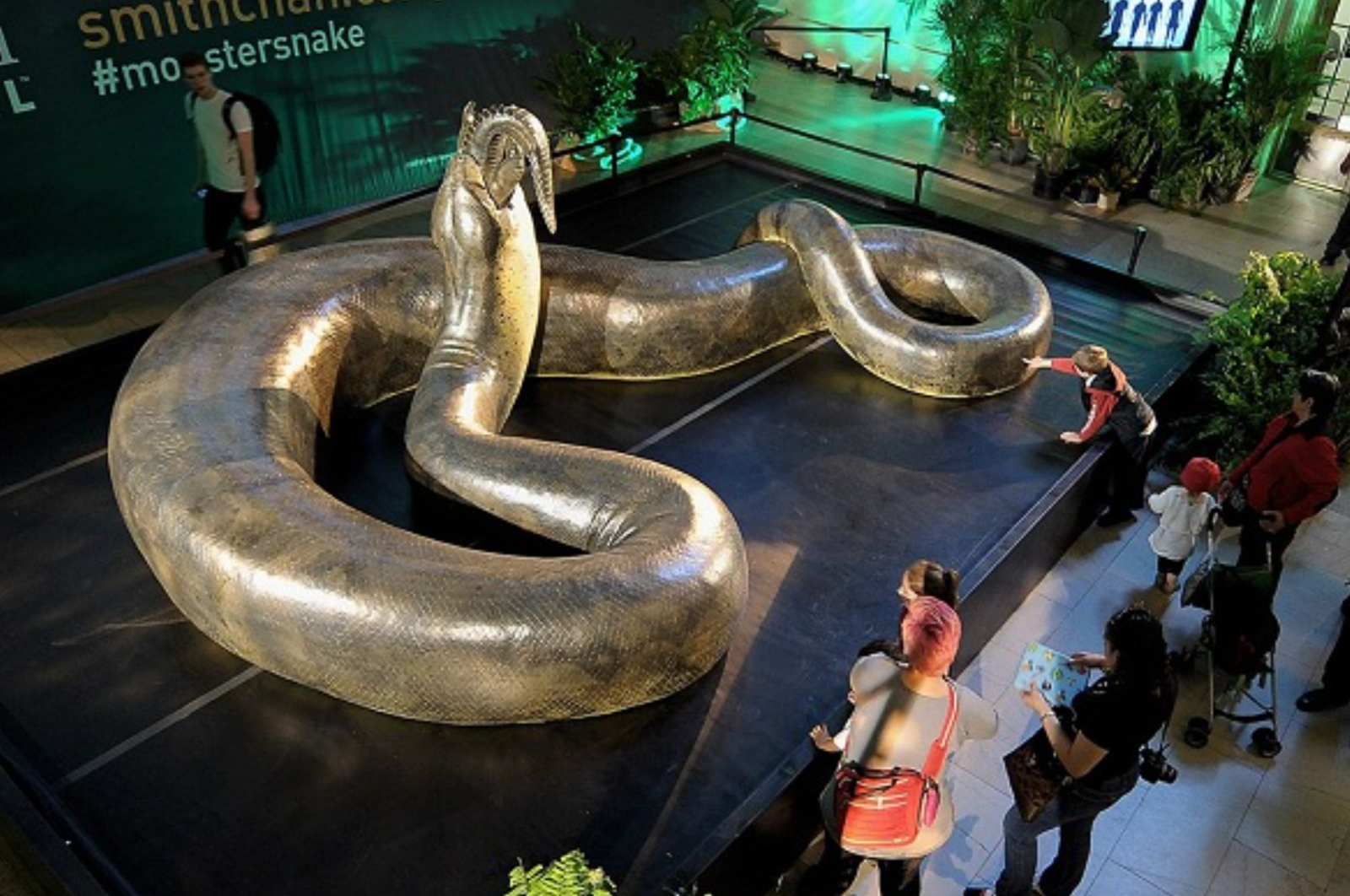 Titanoboa: The massive 45-foot snake that ruled the prehistoric world