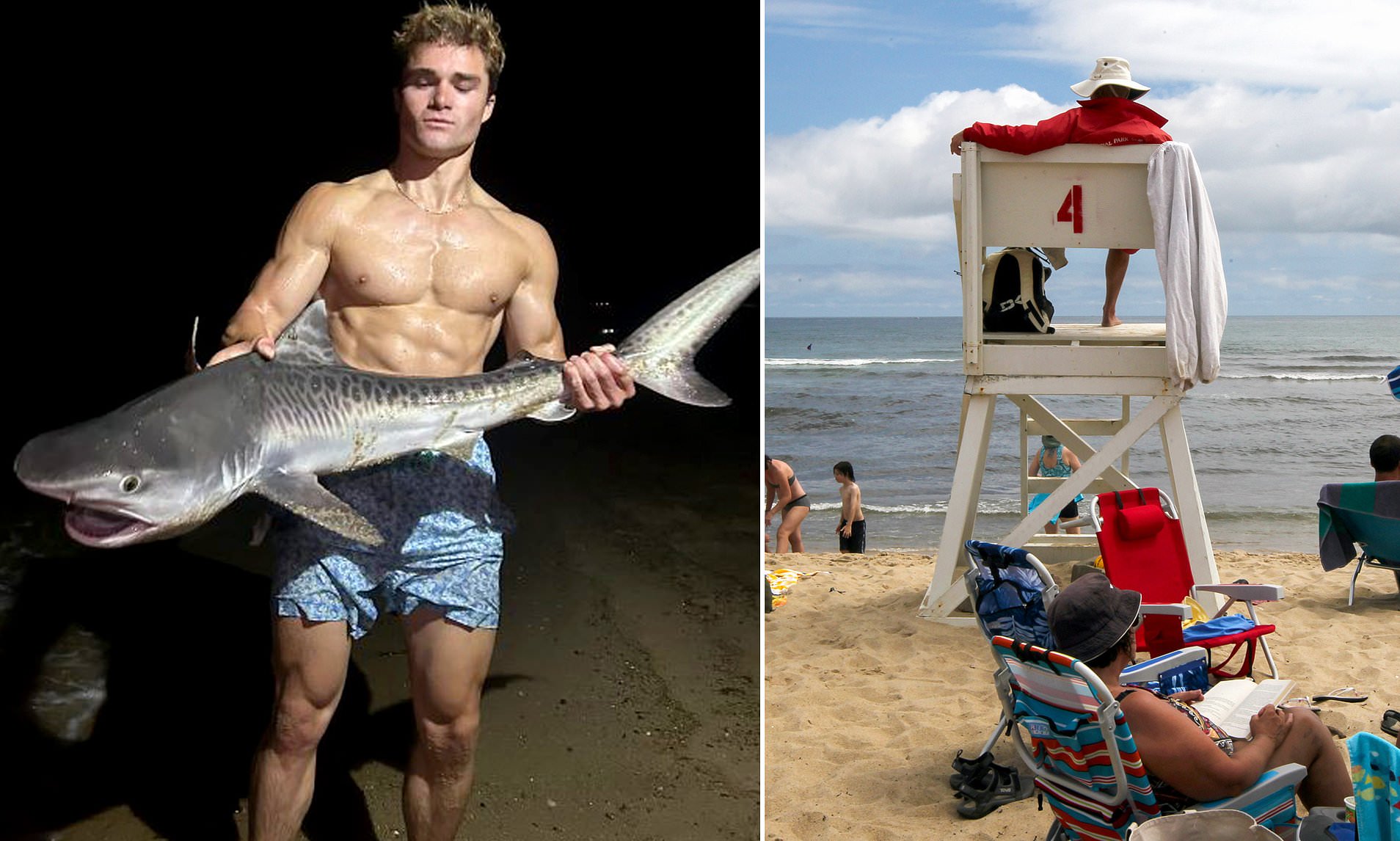 Fisherman catches very dangerous shark off Cape Cod as huge great white ...