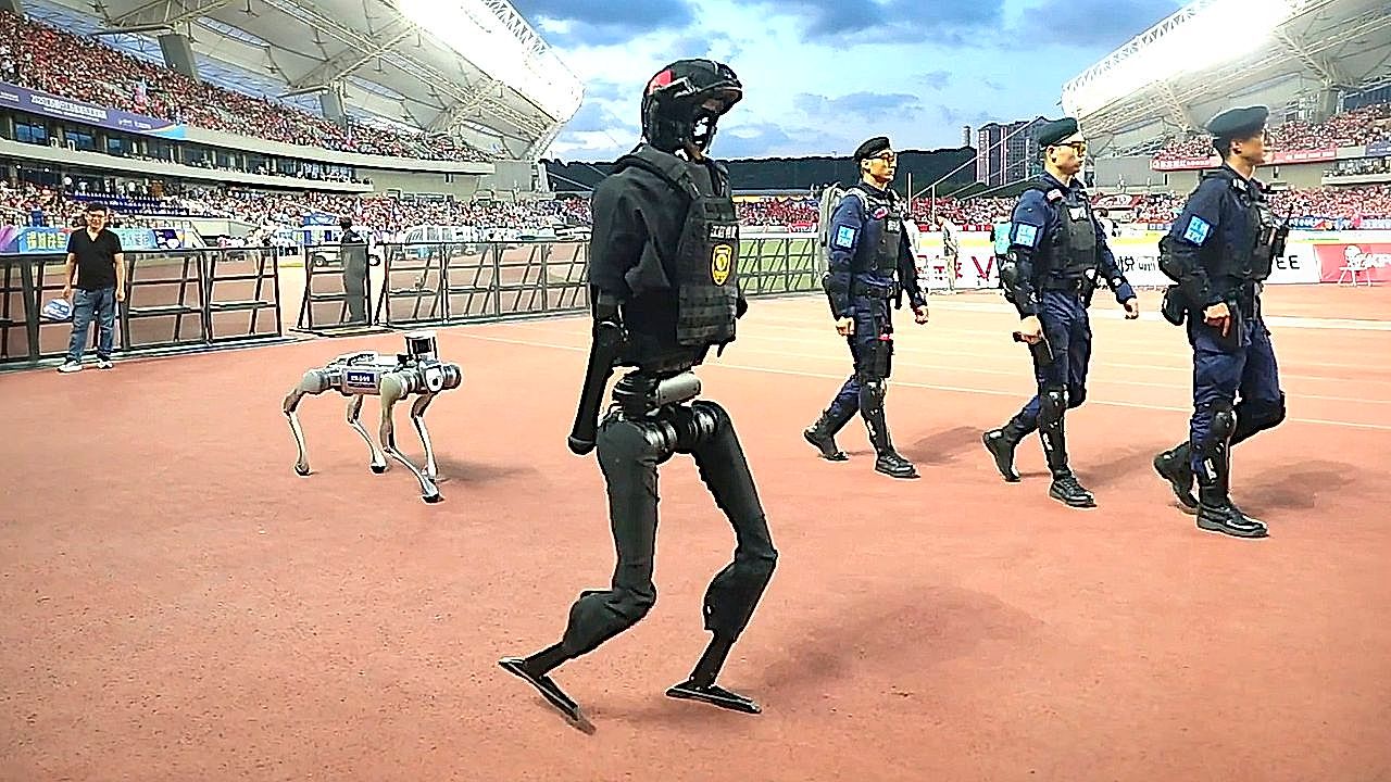 Robot dogs patrol soccer game in China