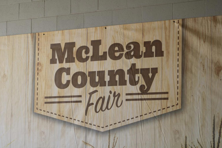 4-H show animals beat the heat at McLean County Fair