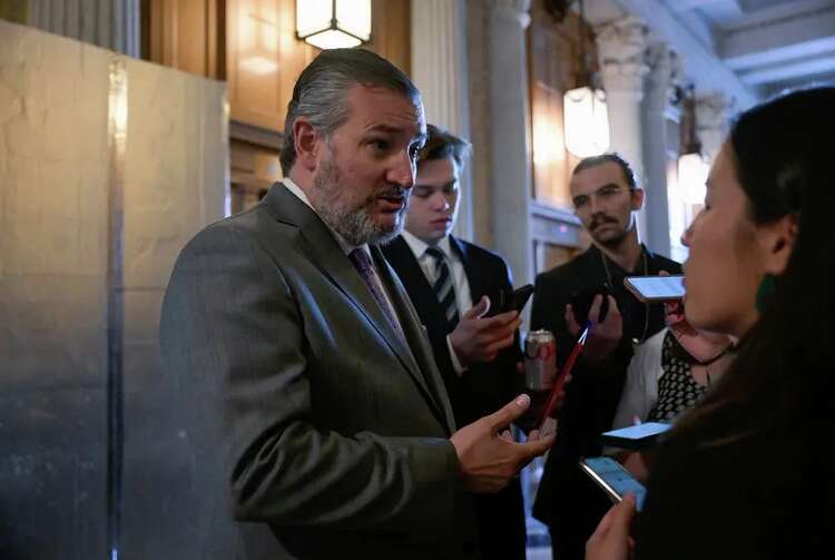 Ted Cruz wants to use RICO laws on alleged protest funders