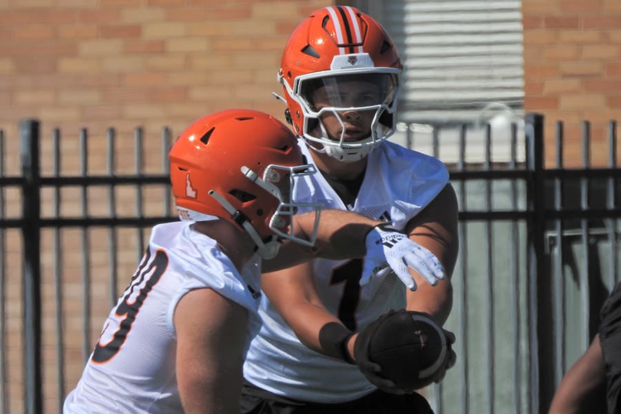 Smart money is on Cooke or Sharman to replace Tracy as Bengals’ QB1