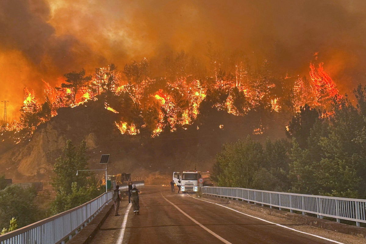 Turkey wildfires leave 10 dead and 14 in hospital