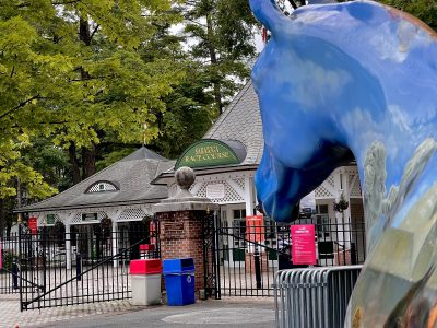 Precautionary quarantine lifted on Barn 28 at Saratoga Race Course