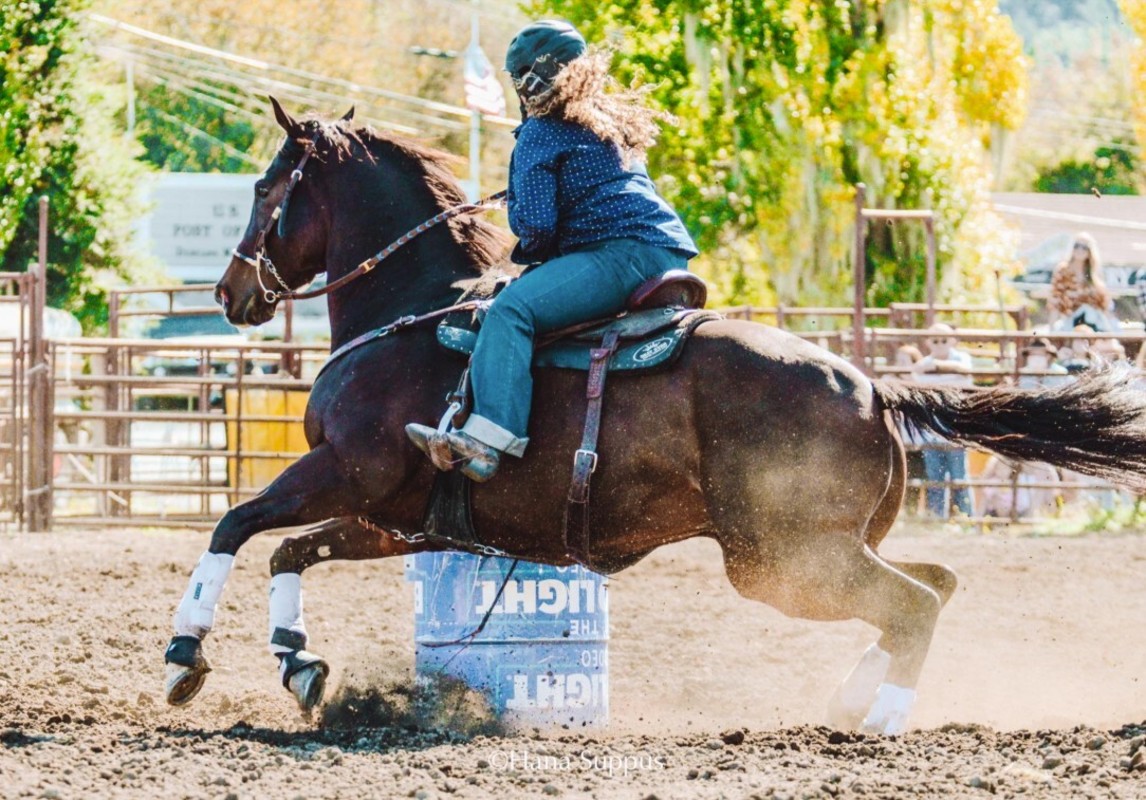 ‘Willing To Please’: OTTB Good Stuff Competing With University Of ...