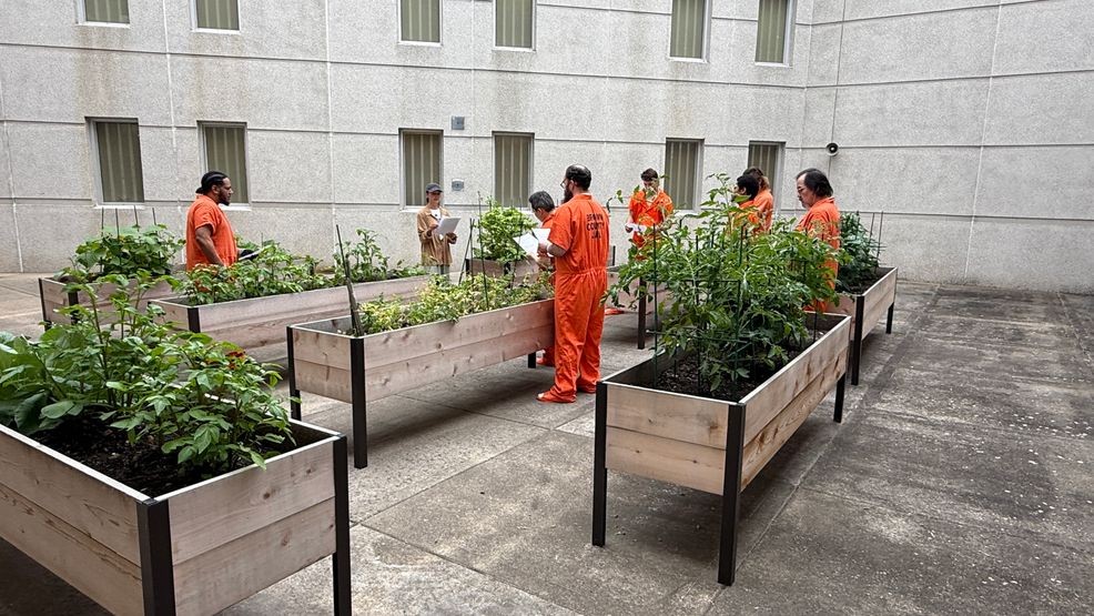 Brown County Jail inmates grow produce in community garden, donate it ...