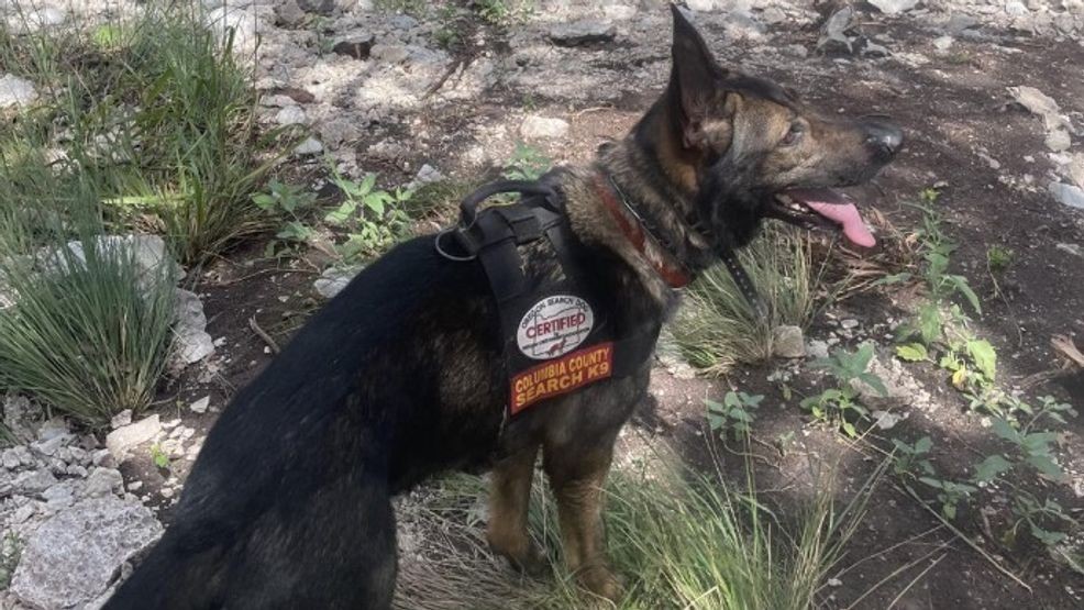 Oregon's Search and Rescue canine teams deployed to Texas for disaster ...