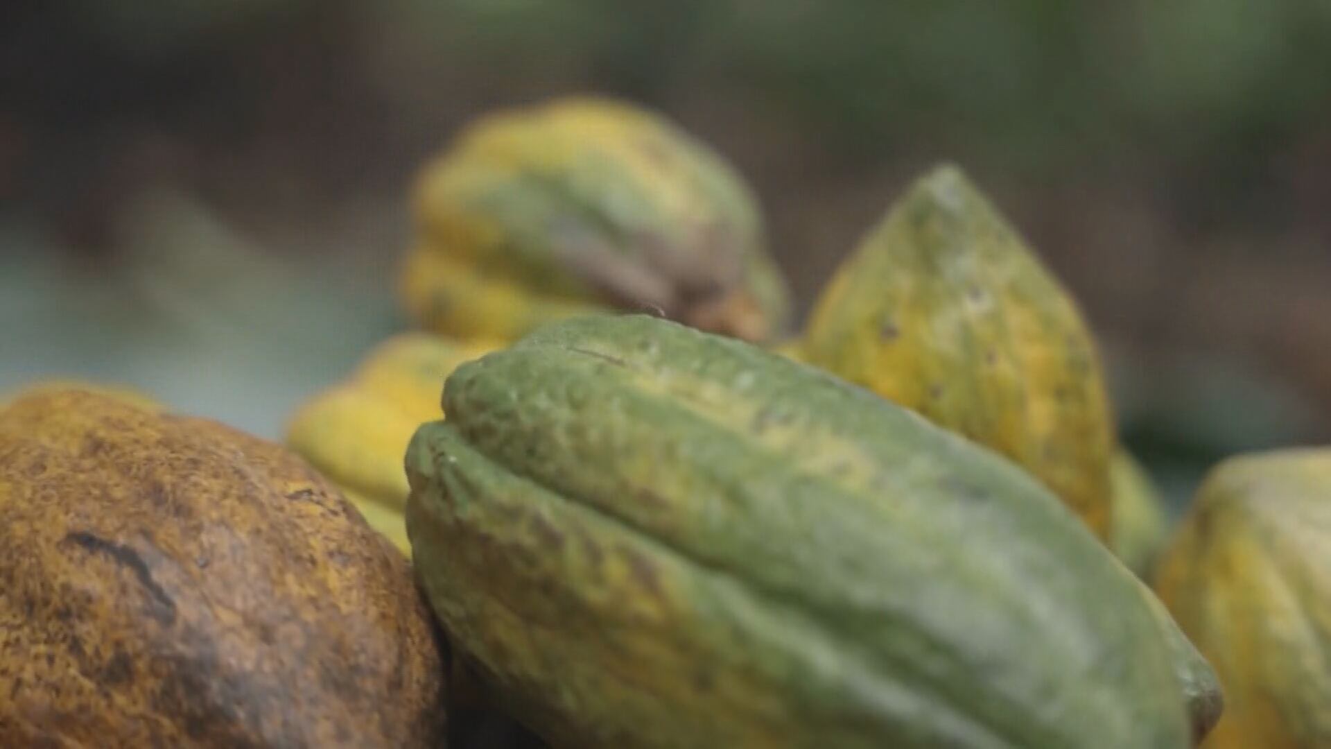 Rising cocoa costs are impacting a Heartland bakery