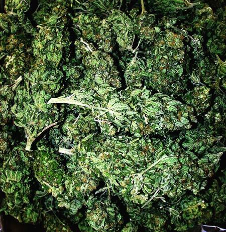 Nearly 173,000 signatures needed for recreational marijuana to be ...