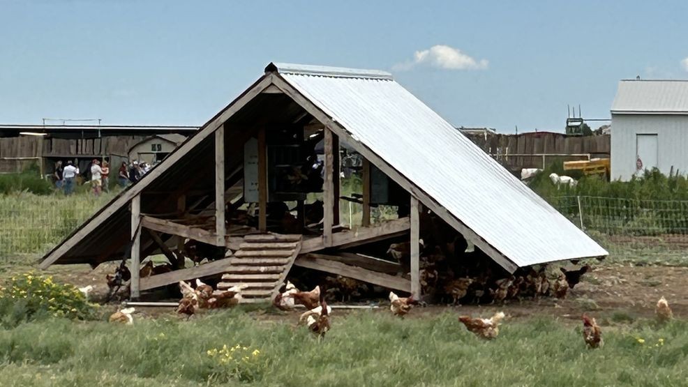 Growers explore food hub models at field day hosted by Ogallala Commons ...