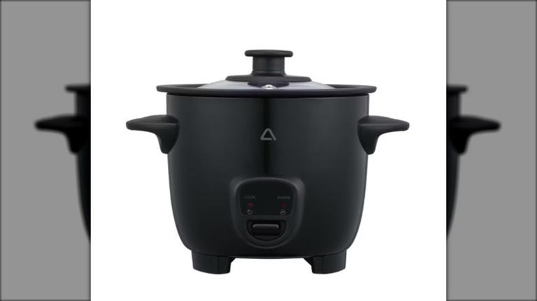 The Best Aldi Appliance Under $20