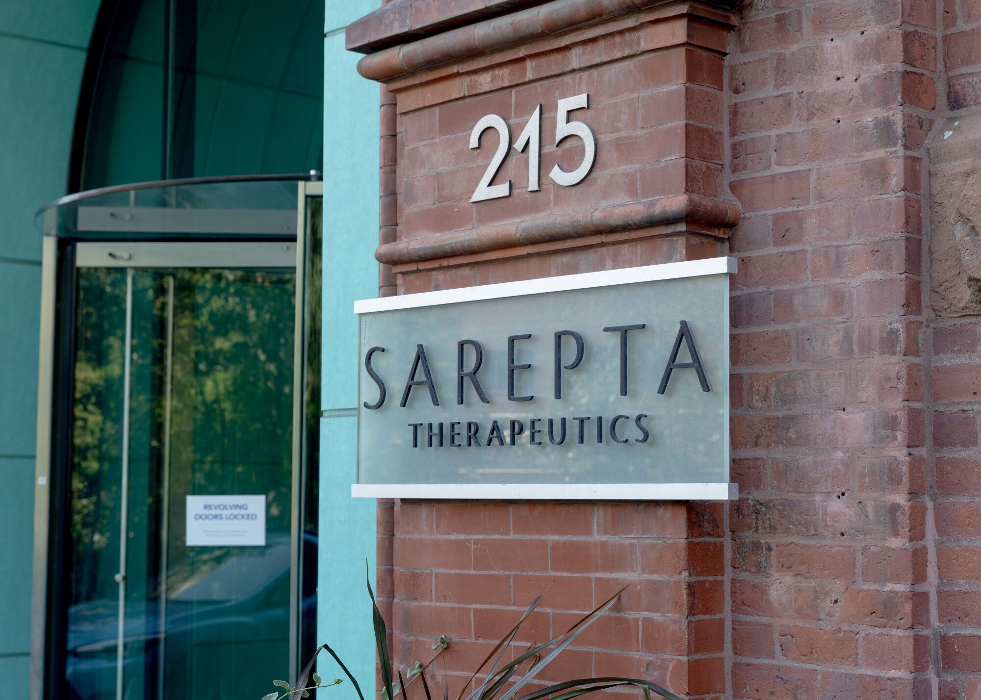 Sarepta Shares Drop After FDA Asks for More Data on Elevidys