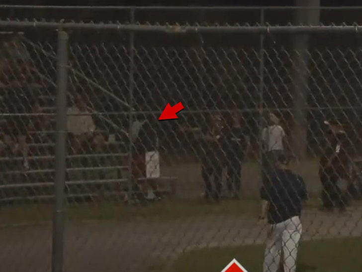 Youth baseball player, spectator charged after brawl breaks out at game