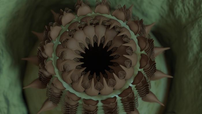 Spike-Toothed Worm and Other Creatures Lived in Grand Canyon 500 ...