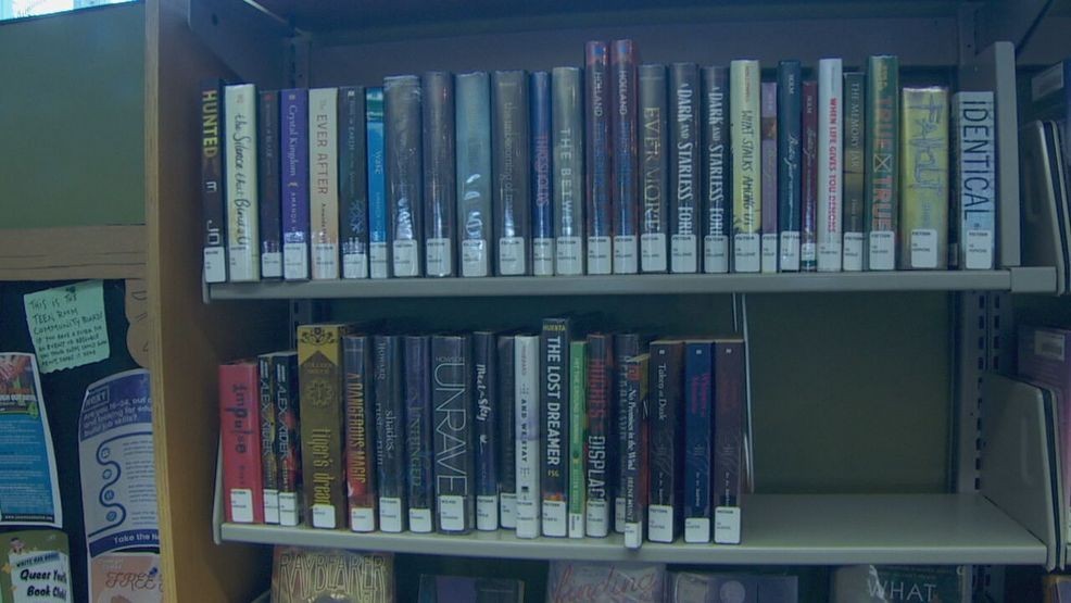 Clark County voters to decide on library funding levy lift in upcoming ...