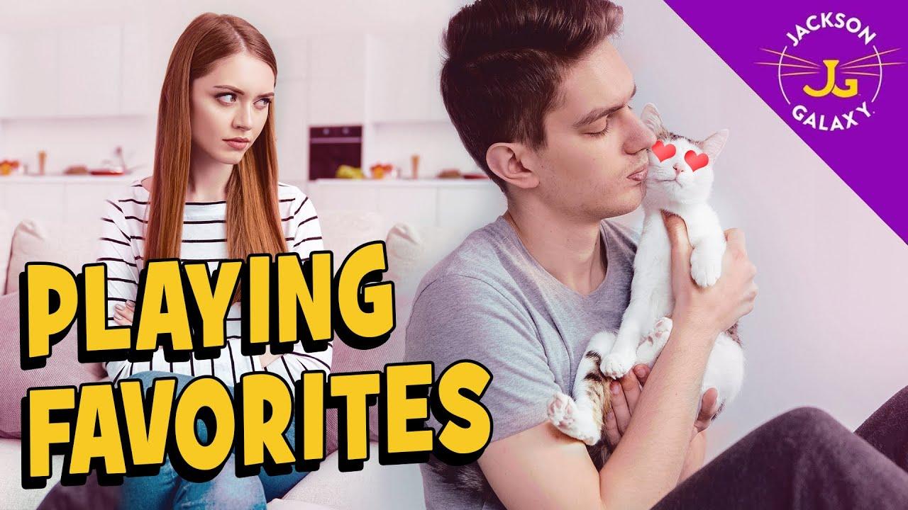 Your Cat Playing Favorites? Does My Cat Love Them More?!