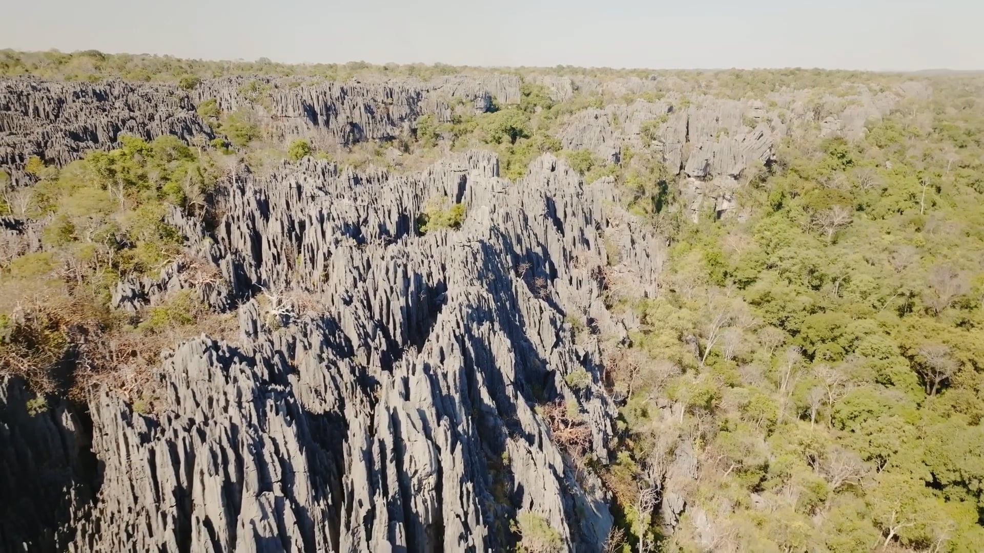 Un drone explore les Tsingy de Bemaraha : la forêt de pierres de Madagascar