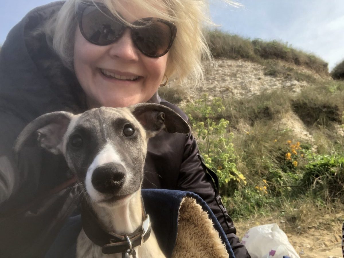 I regret my anxious whippet – his neediness has ruined my life