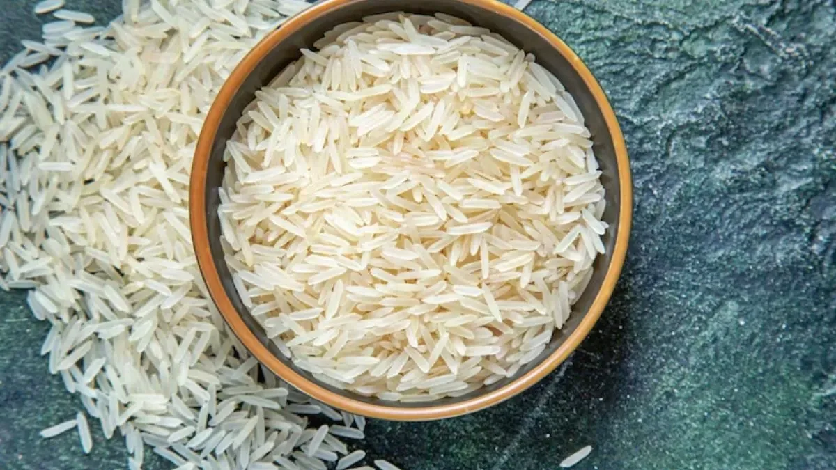 Long grains, rich taste: How Basmati rice brings comfort and elegance ...