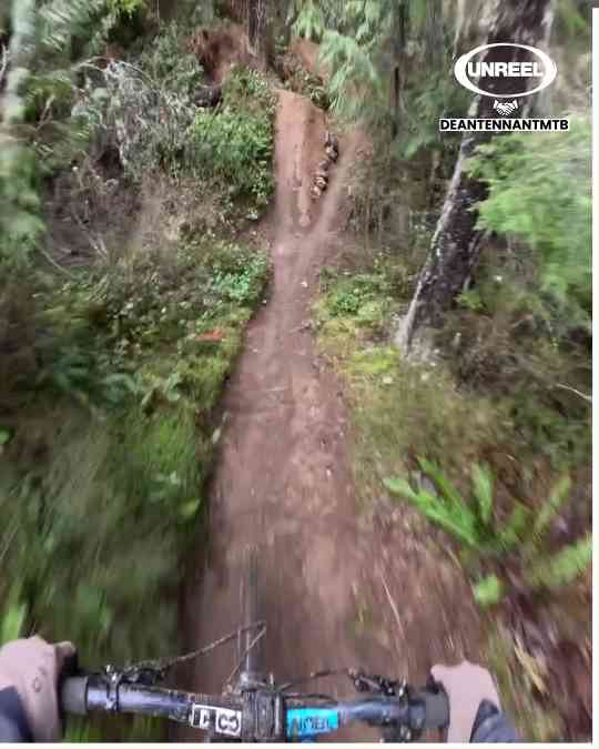 Patchworx Trail MTB POV