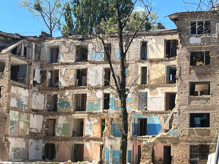 Meistgelesen 2025: „Papa, Ballistik! Beschütz mich!“ – Report einer ...