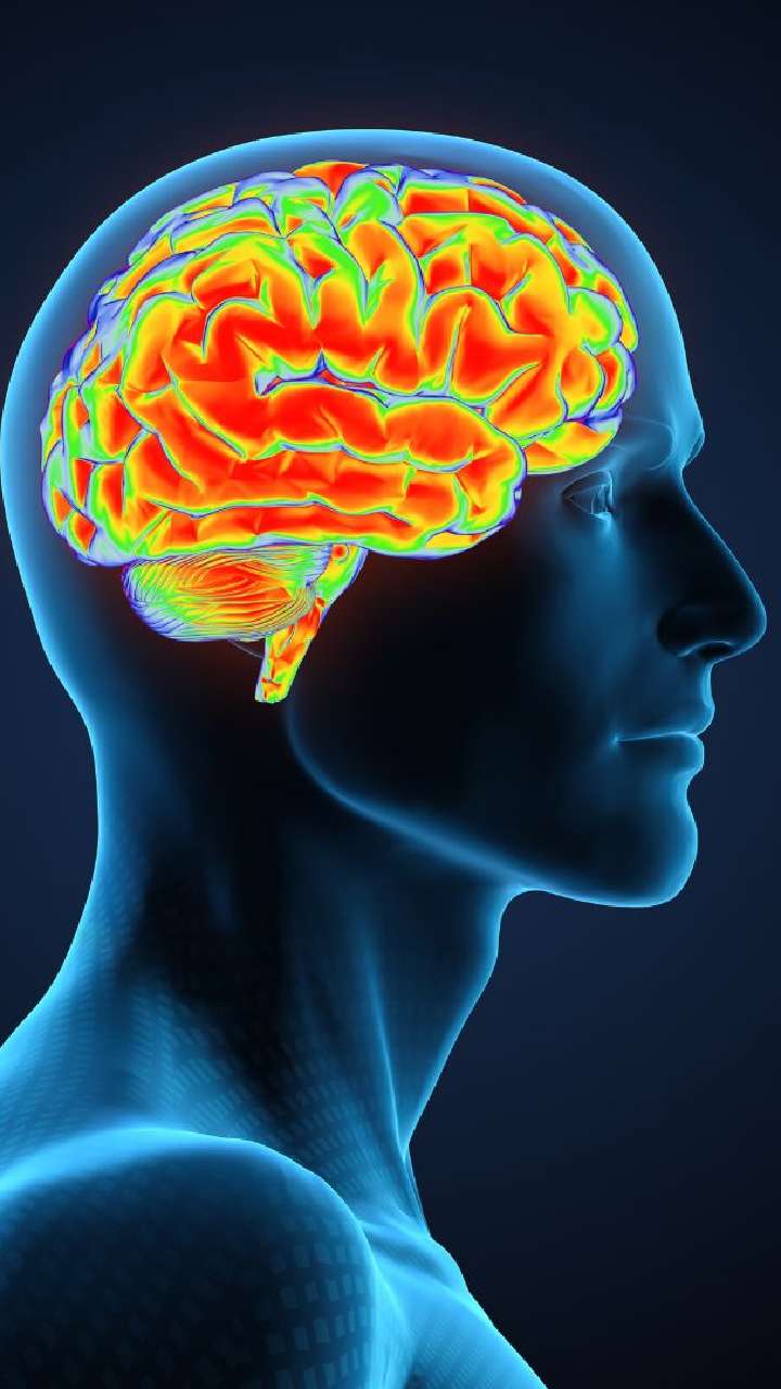 7 Daily Habits That Can Protect Your Brain From Damage!