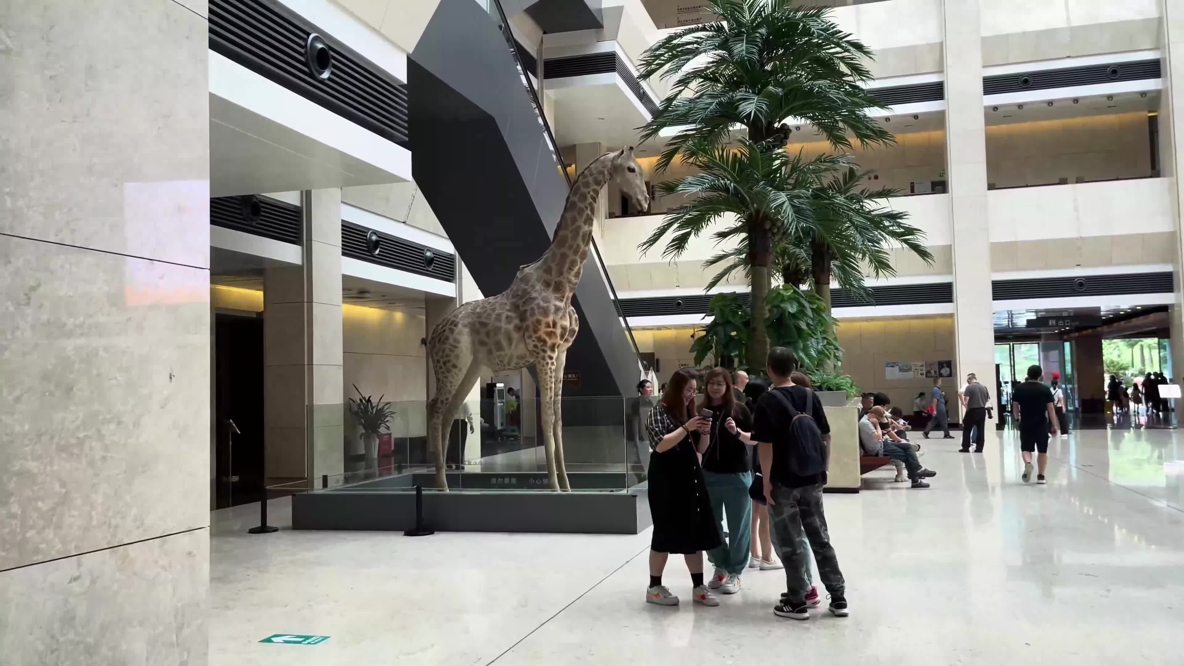 Highlights of Shenzhen Museum in China’s Guangdong Province (4K)