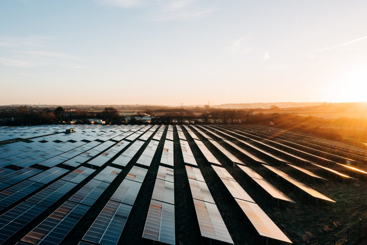 UK risks being a ‘dumping ground’ for solar panels linked to Chinese ...