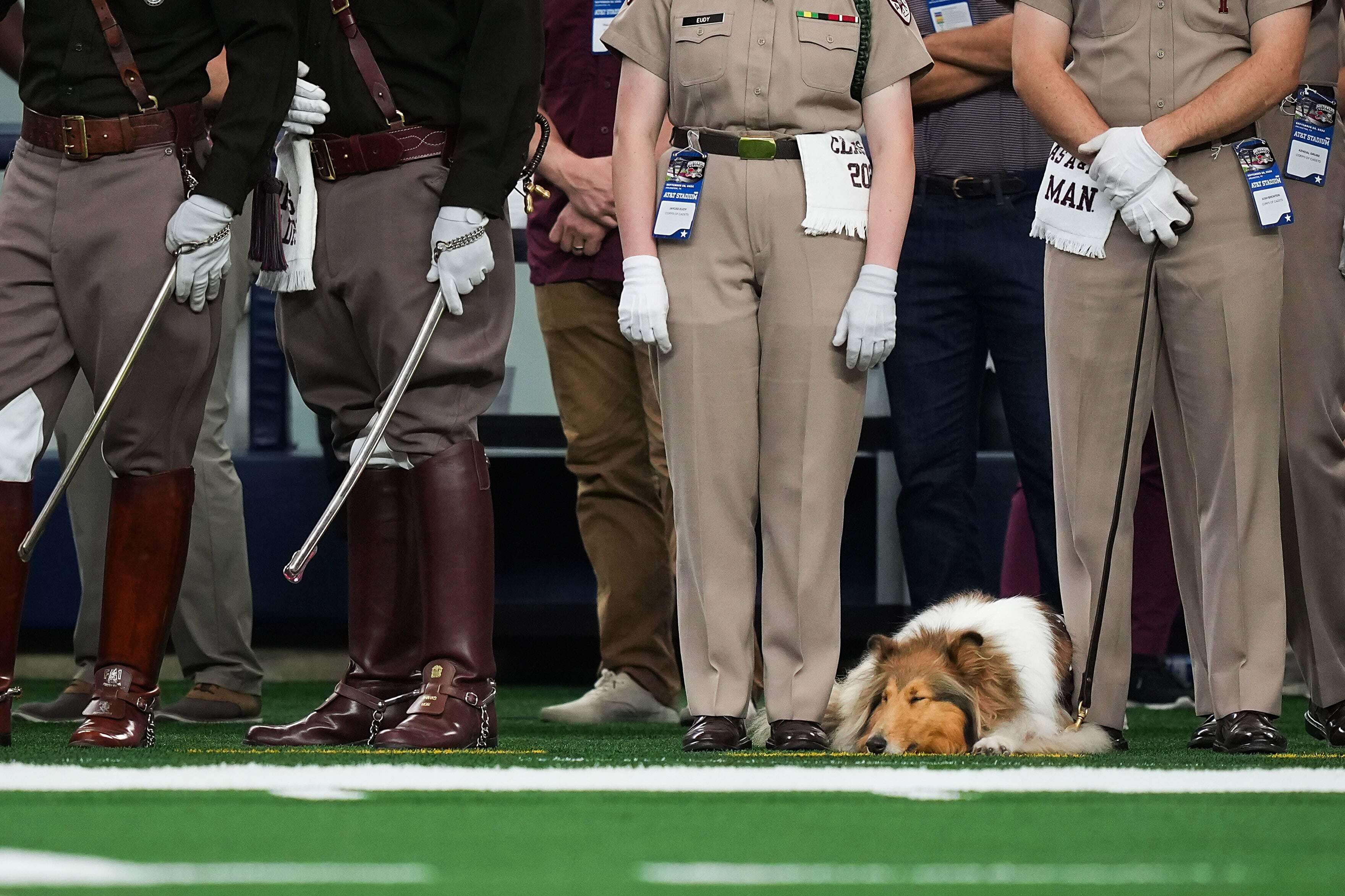 Texas A&M announces mascot Reveille X underwent surgery to remove right eye